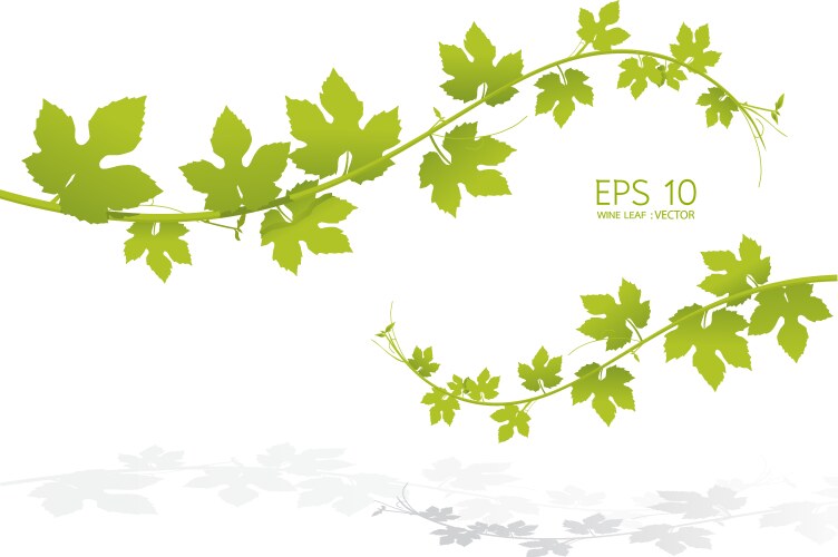 Green wine leaf Royalty Free Vector Image - VectorStock