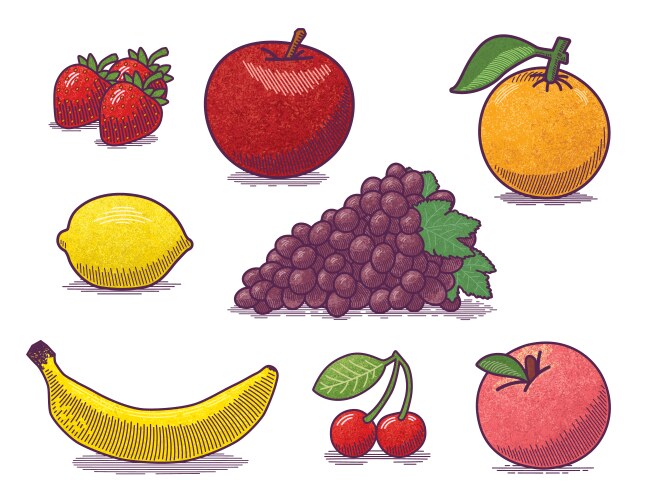 Fruit Vector Images (over 800,000)