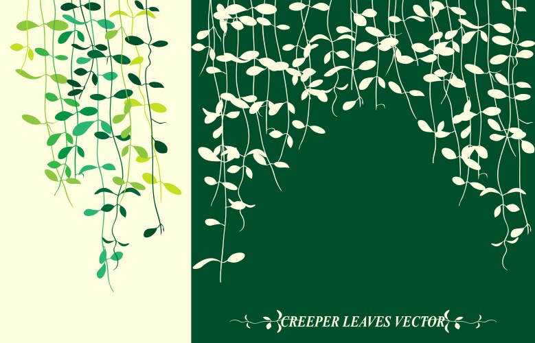 Flower Vine Vector Images (over 14,000)