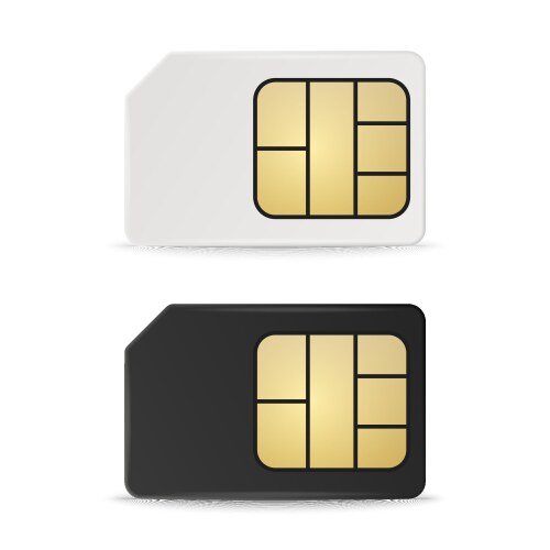 3d realistic white and black plastic sim Vector Image