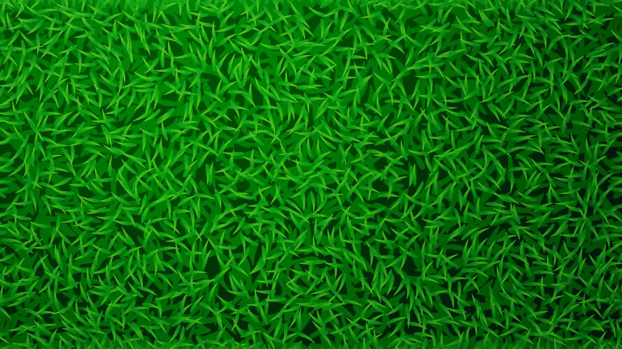 Grass Top View Vector Images (over 3,000)