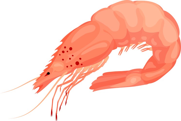 Shrimp Cartoon Vector Images (over 9,800)
