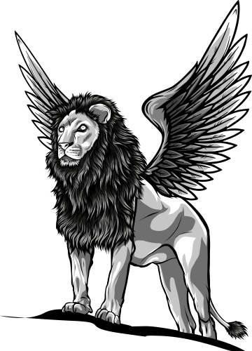 Lion Outline Vector Images (over 14,000)