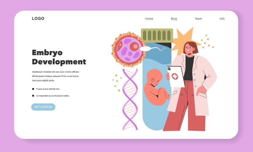 Embryology Vector Images (over 700)