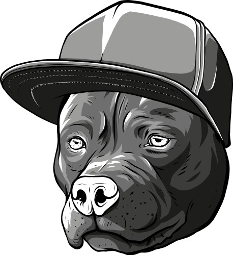 Pitbull Vector Images (over 2,300)