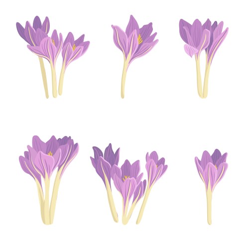 Drawing wild flowers Royalty Free Vector Image