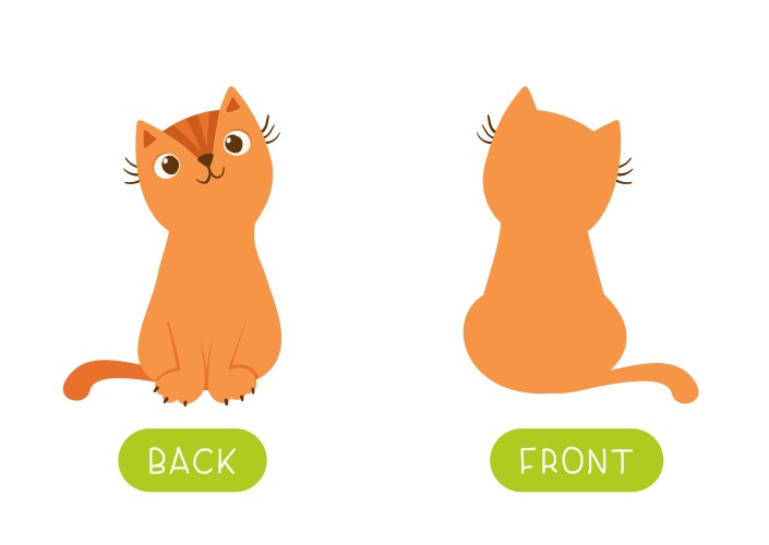 Cat Flashcard Vector Images (over 270)