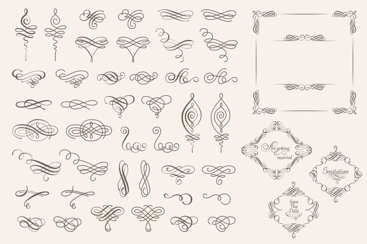 Calligraphic elements Royalty Free Vector Image