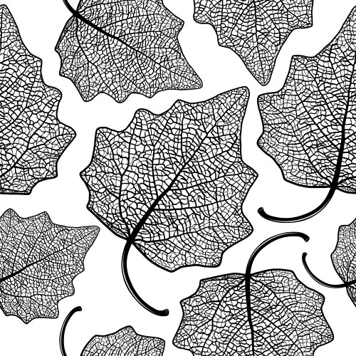 Leaf Skeleton Pattern Vector Images (over 1,300)