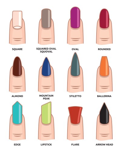 Nail shape icons Royalty Free Vector Image - VectorStock