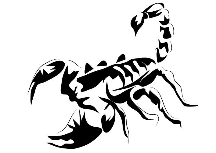 Scorpion Vector Images (over 8,600)