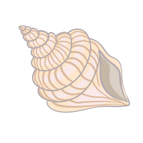 Cartoon Seashell Vector Images (over 9,800)