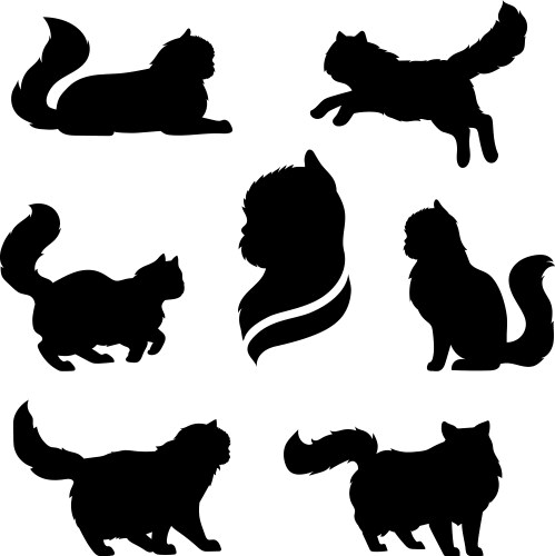Persian Vector Images (over 54,000)