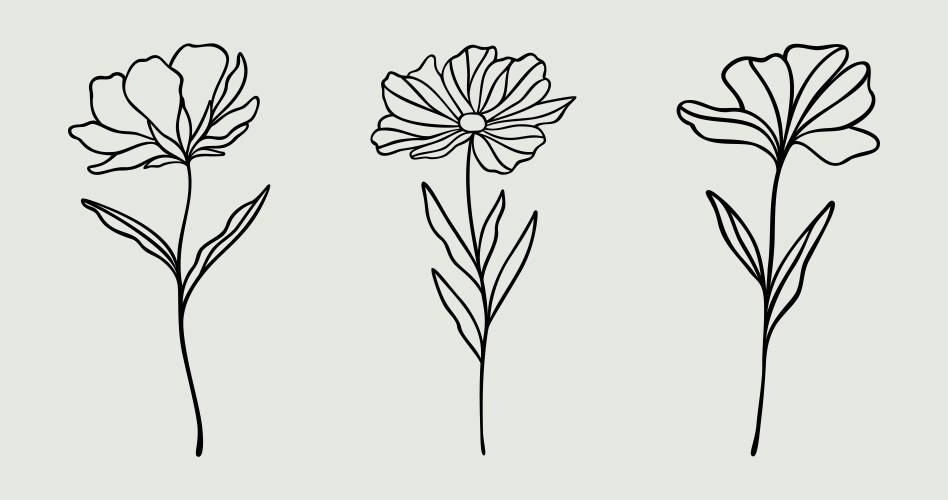 Wildflower line art bundle Royalty Free Vector Image