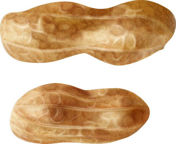 Peanuts in Shell Vector Images (over 2,800)