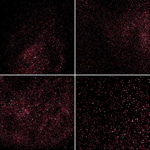 Pink glitter texture square set Royalty Free Vector Image