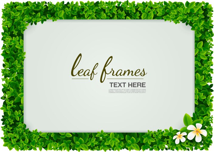 Leaf Frames Vector Images (over 320,000)