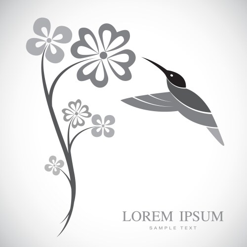 Hummingbird Border Vector Images (over 140)