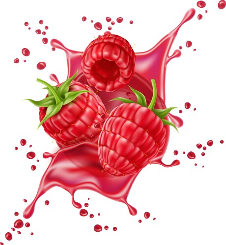 Bullfinch and ash berry Royalty Free Vector Image