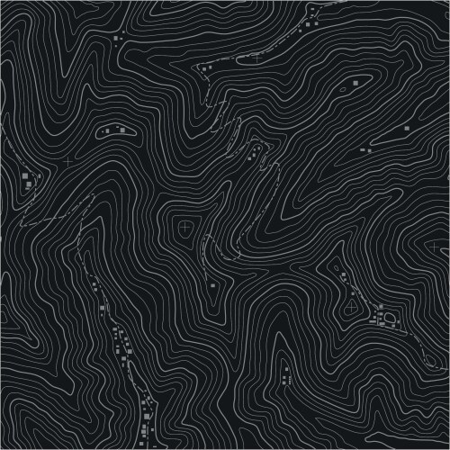 Topographic map patterns topography line Vector Image