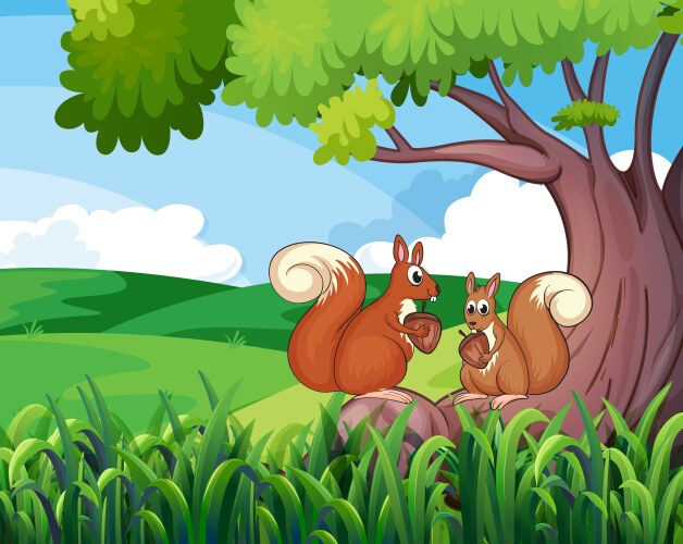 Match animals and their environments educational Vector Image