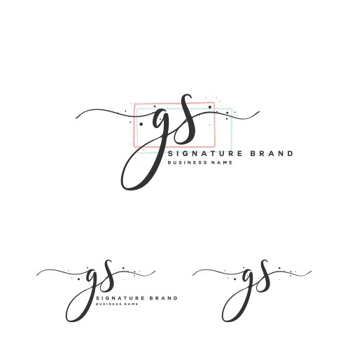 G s gs initial letter handwriting and signature Vector Image