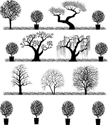 Trees Outline Vector Images (over 170,000)