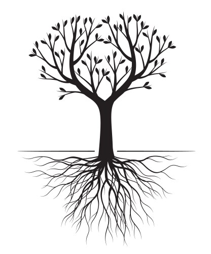 Outline of Tree Roots Sketch Vector Images (over 1,500)