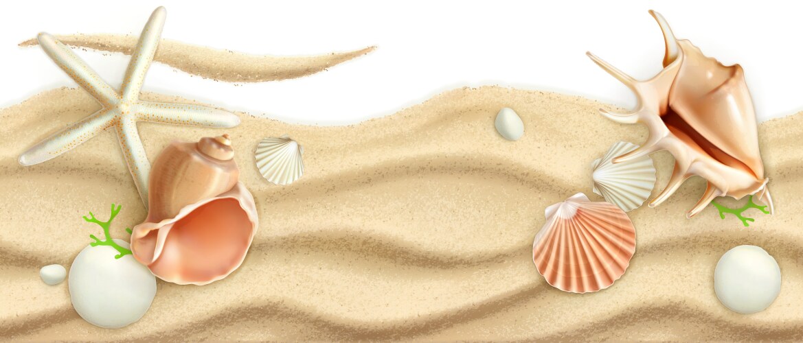 Seashells Vector Images (over 36,000)