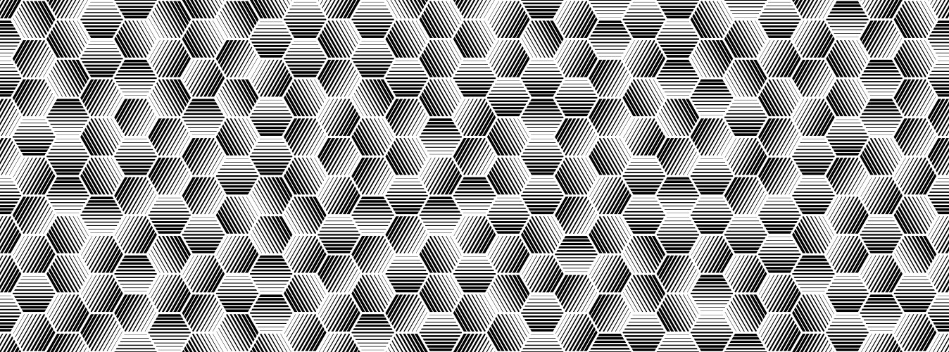 Black and white seamless abstract geometric Vector Image
