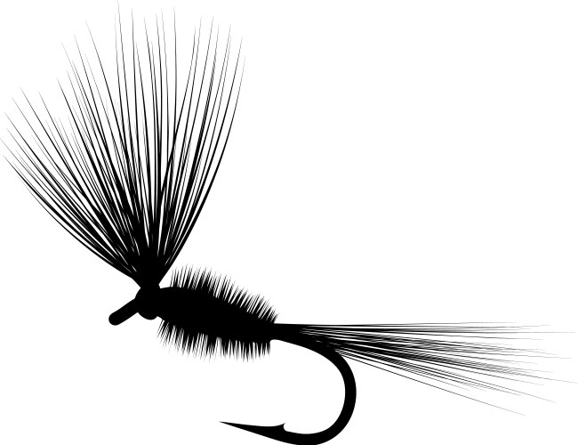 Dry fly Royalty Free Vector Image - VectorStock