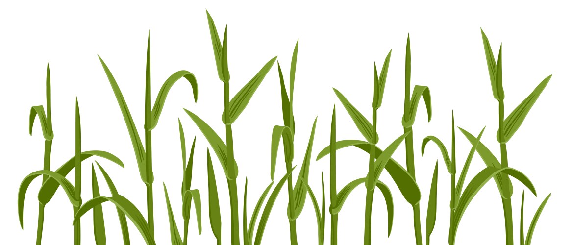 Long Grass Vector Images (over 4,800)