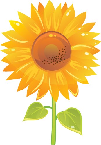 Sunflower Vector Images (over 53,000)