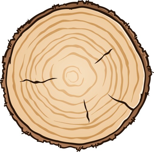 Wooden log cut Royalty Free Vector Image - VectorStock