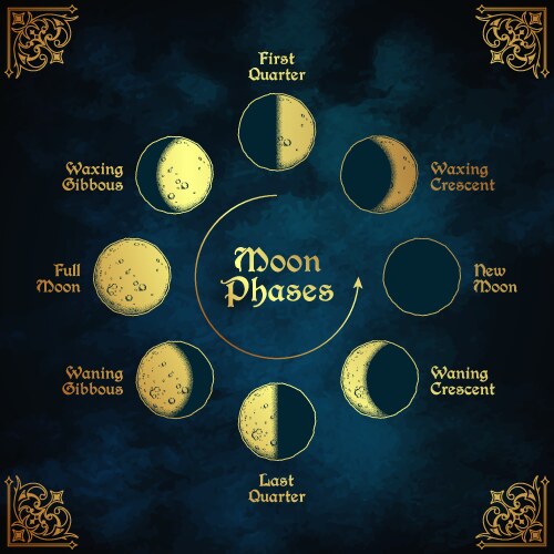 Moon Phase Circle Vector Images (over 1,800)