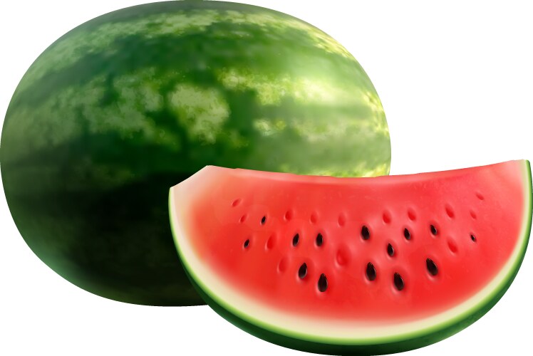 Realistic of various fruits Royalty Free Vector Image