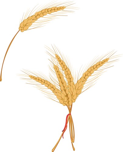 Wheat with ukrainian flag national symbols Vector Image