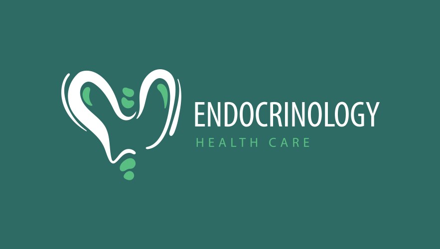 Endocrine system image Royalty Free Vector Image