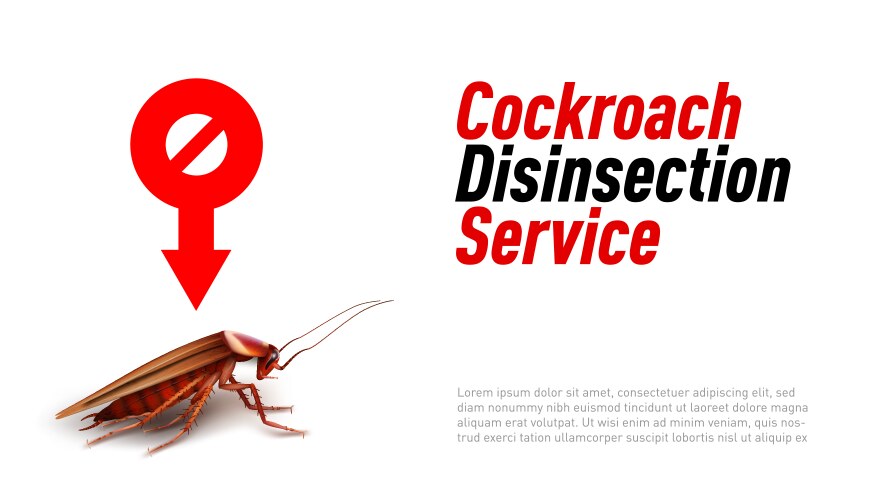 3d red and black cockroach disinsection service Vector Image