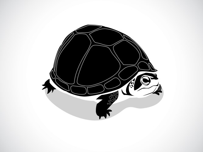 Sea turtle Royalty Free Vector Image - VectorStock