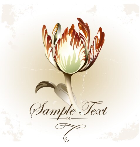 Single Tulip Vector Images (over 1,400)