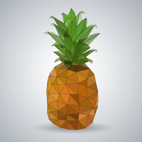 Hipster geometric polygonal fruit pineapple Vector Image