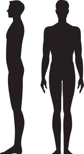 Human Body Side View Vector Images (over 2,600)