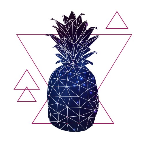 Hipster geometric polygonal fruit pineapple Vector Image