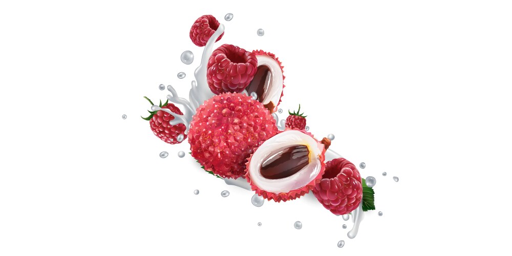 Lychee Vector Images (over 3,600)