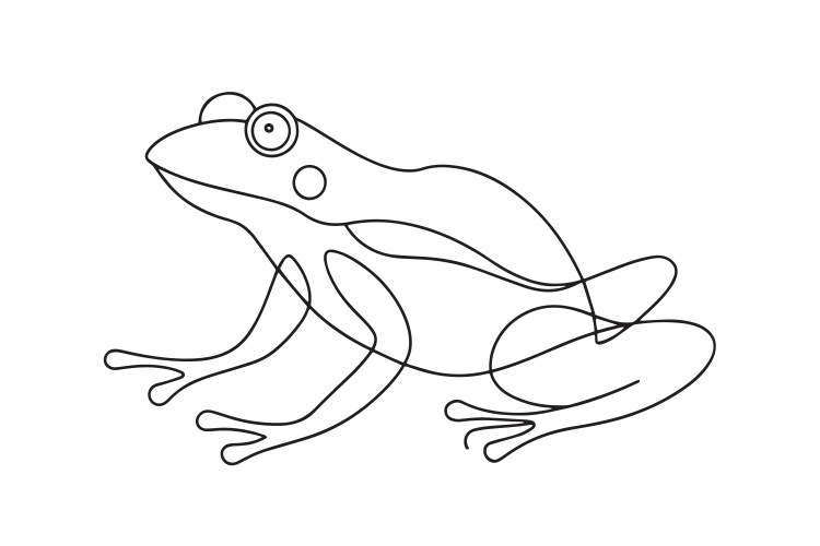 Frog Line Drawing Vector Images (over 2,000)