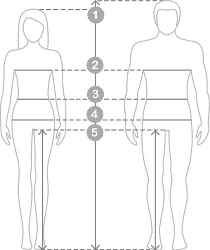 Men standard body measurements for different Vector Image