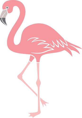 Flamingo Cartoon Vector Images (over 11,000)