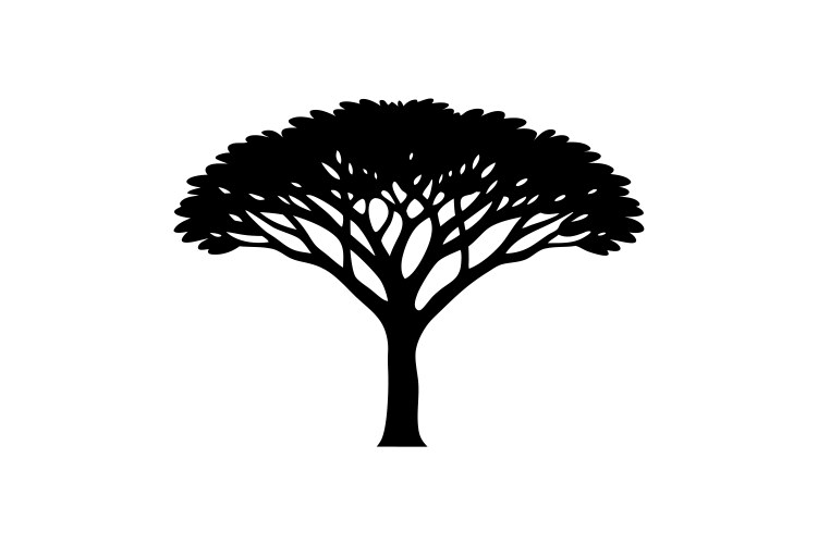 Modern safari tree - elegant and minimalist Vector Image