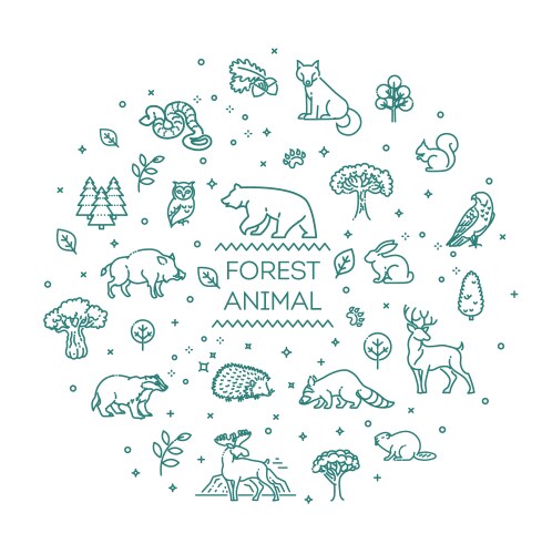 Magic forest Royalty Free Vector Image - VectorStock